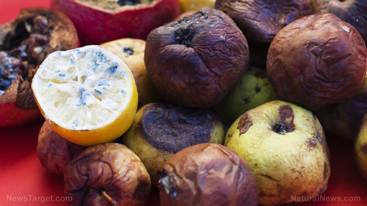 Organics News Organics News Organics Information Organics News Organics News Organics Information